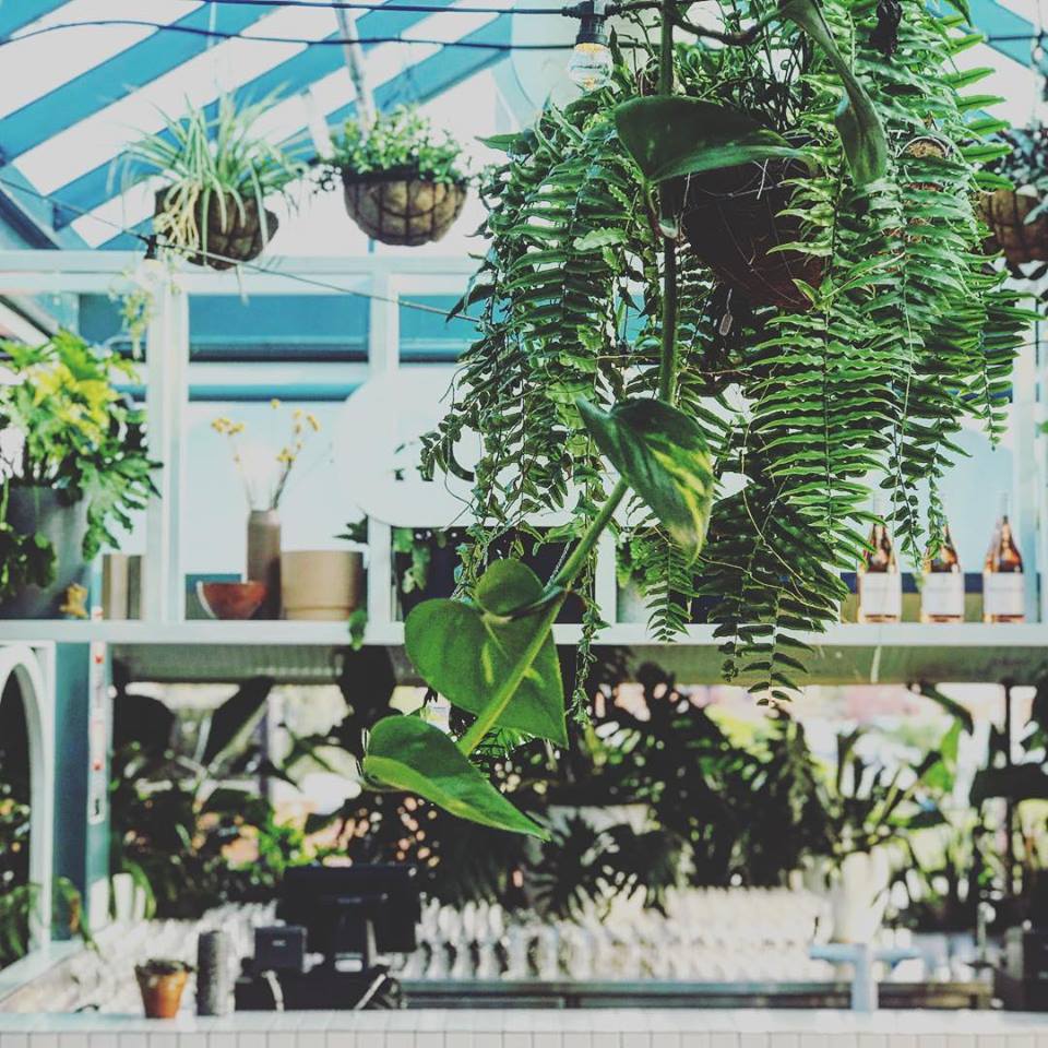 Sneak Peek: The Lower North Shore is Getting a New Restaurant and ...