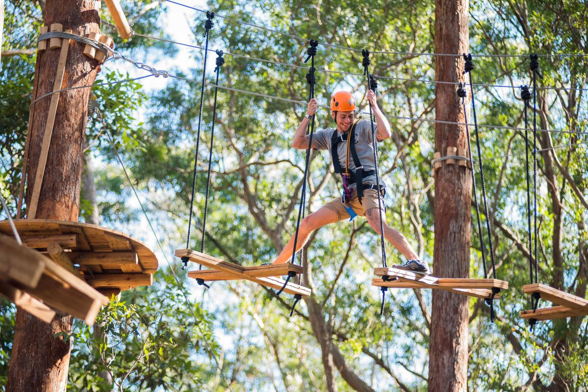 High Ropes Adventure Has Arrived at St Ives Showground - Willoughby Living