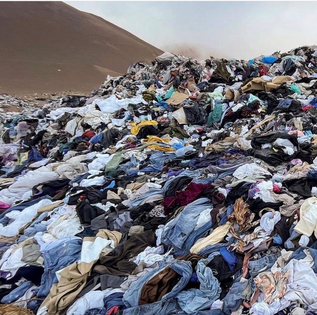 North Shore Tween Launches 'Tender Threads' - A Digital Fashion ...