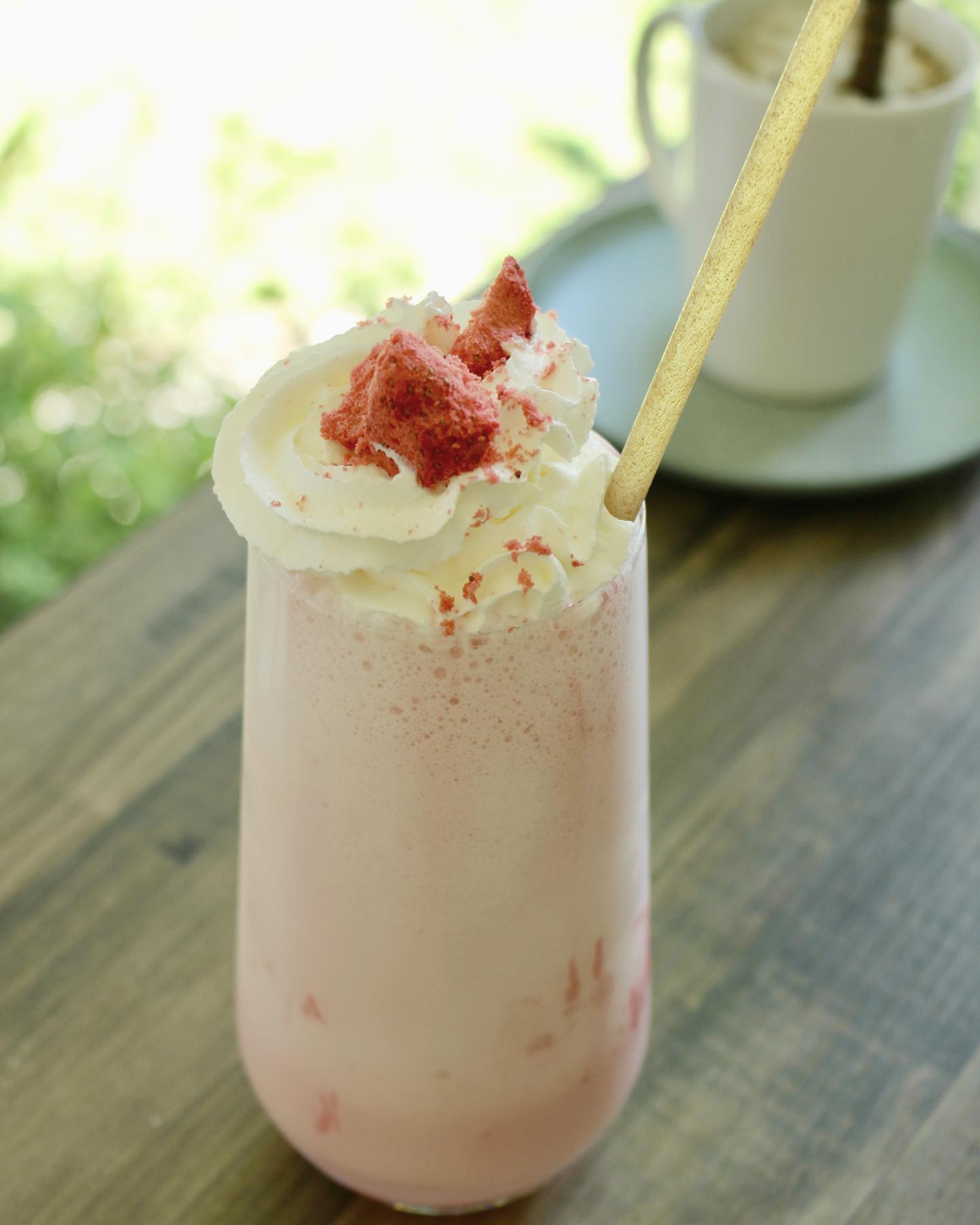 Coffee With a Cat Cuddle: New Rescue Café Opens - Mosman Living