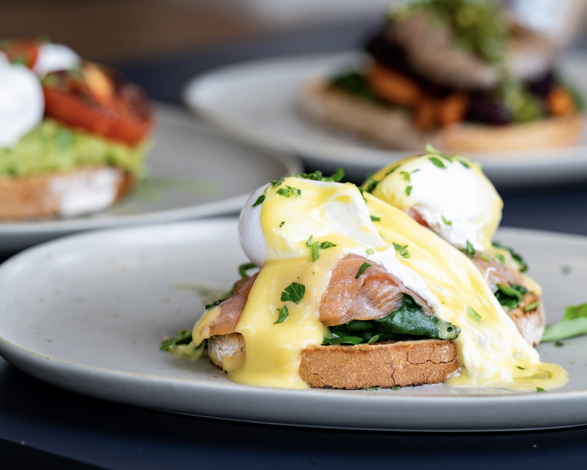 New Cafe Organica in St Leonards Has Cakes, Coffee and a Huge ...