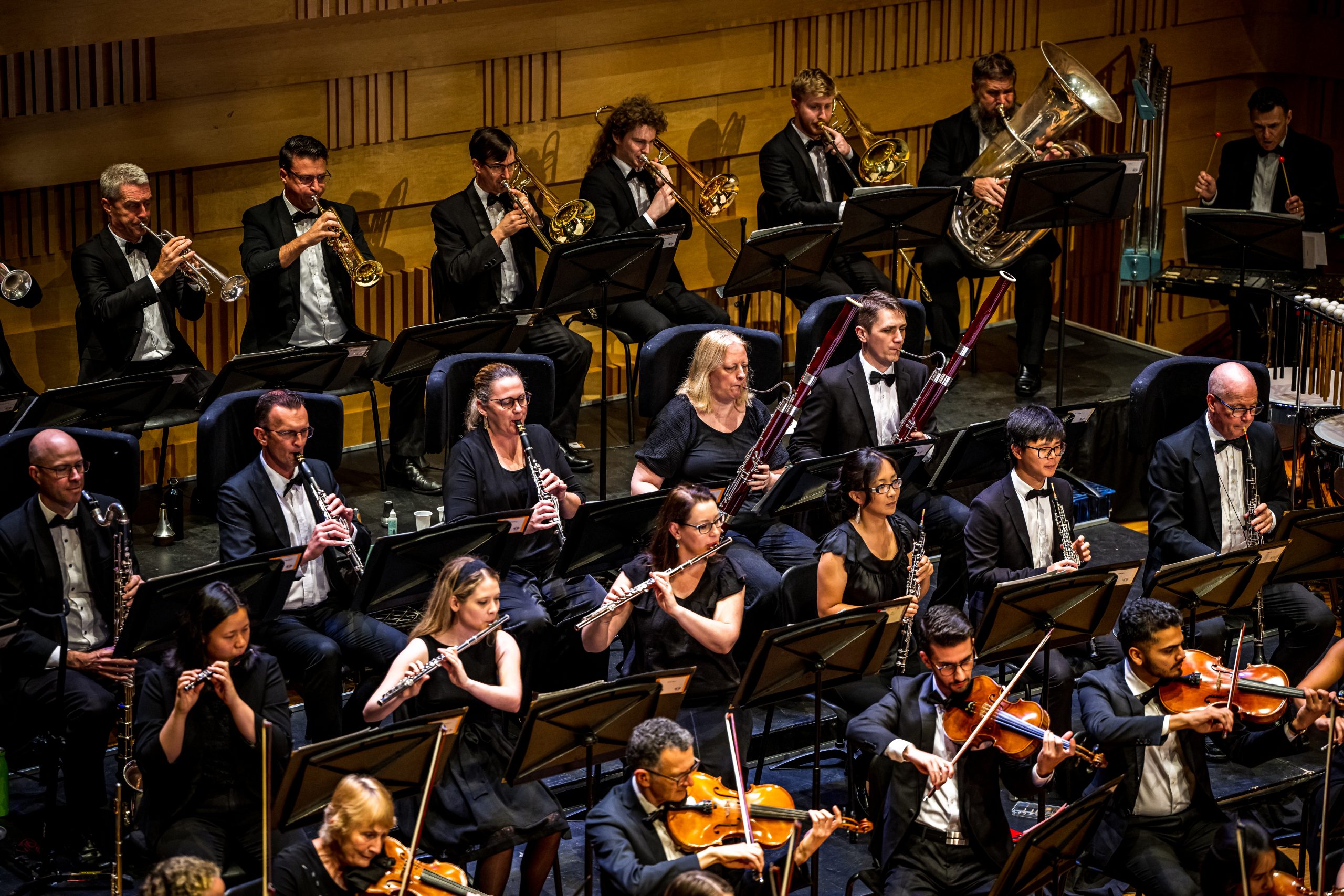 Music Lovers Don't Miss: Willoughby Symphony Orchestra Presents ...