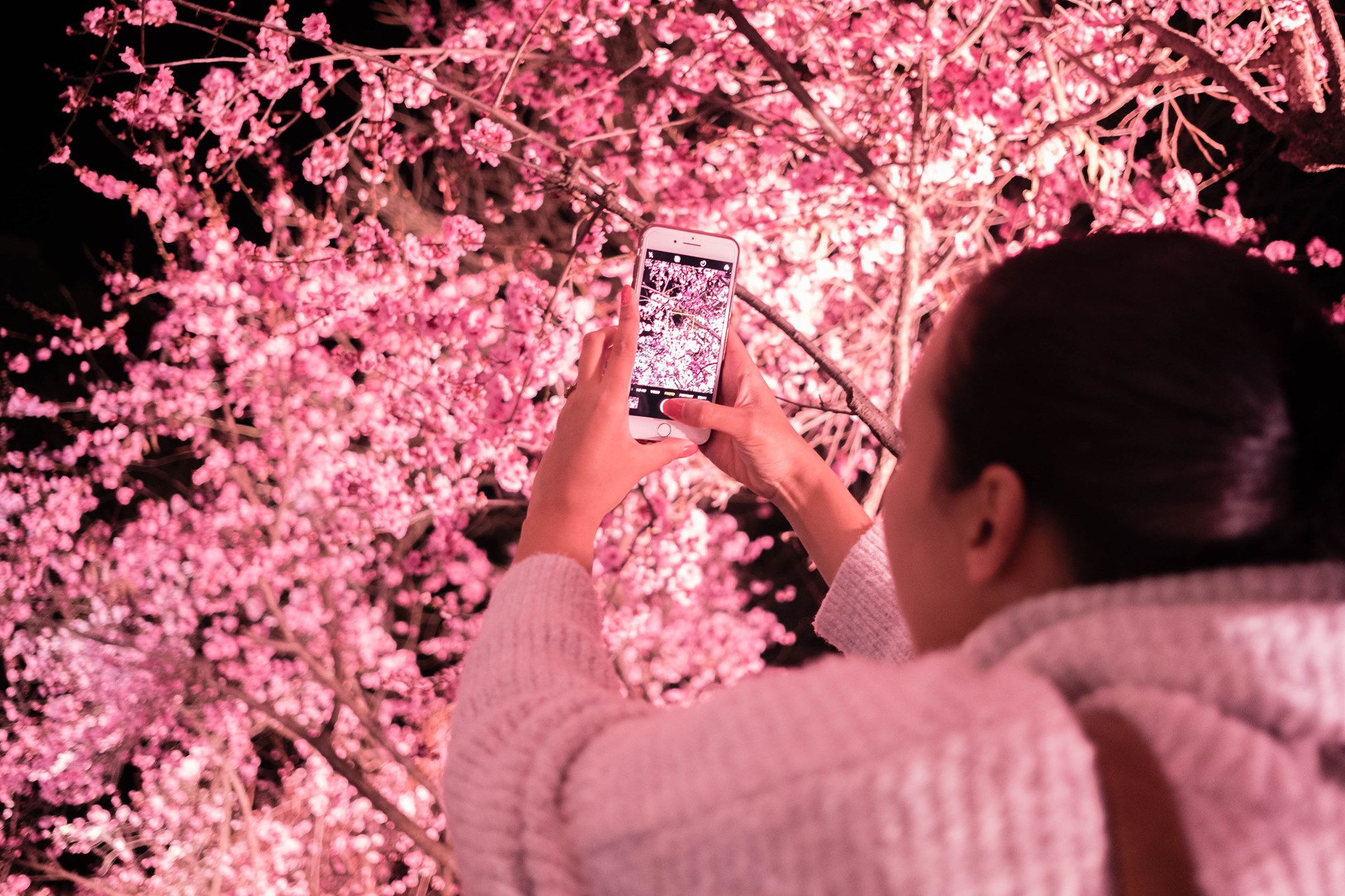 Awesome Winter Events Worth Leaving Home For