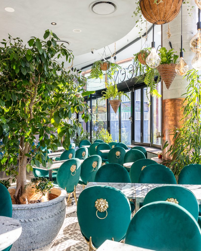 Exciting New North Shore Cafes and Restaurants to Try - Willoughby Living