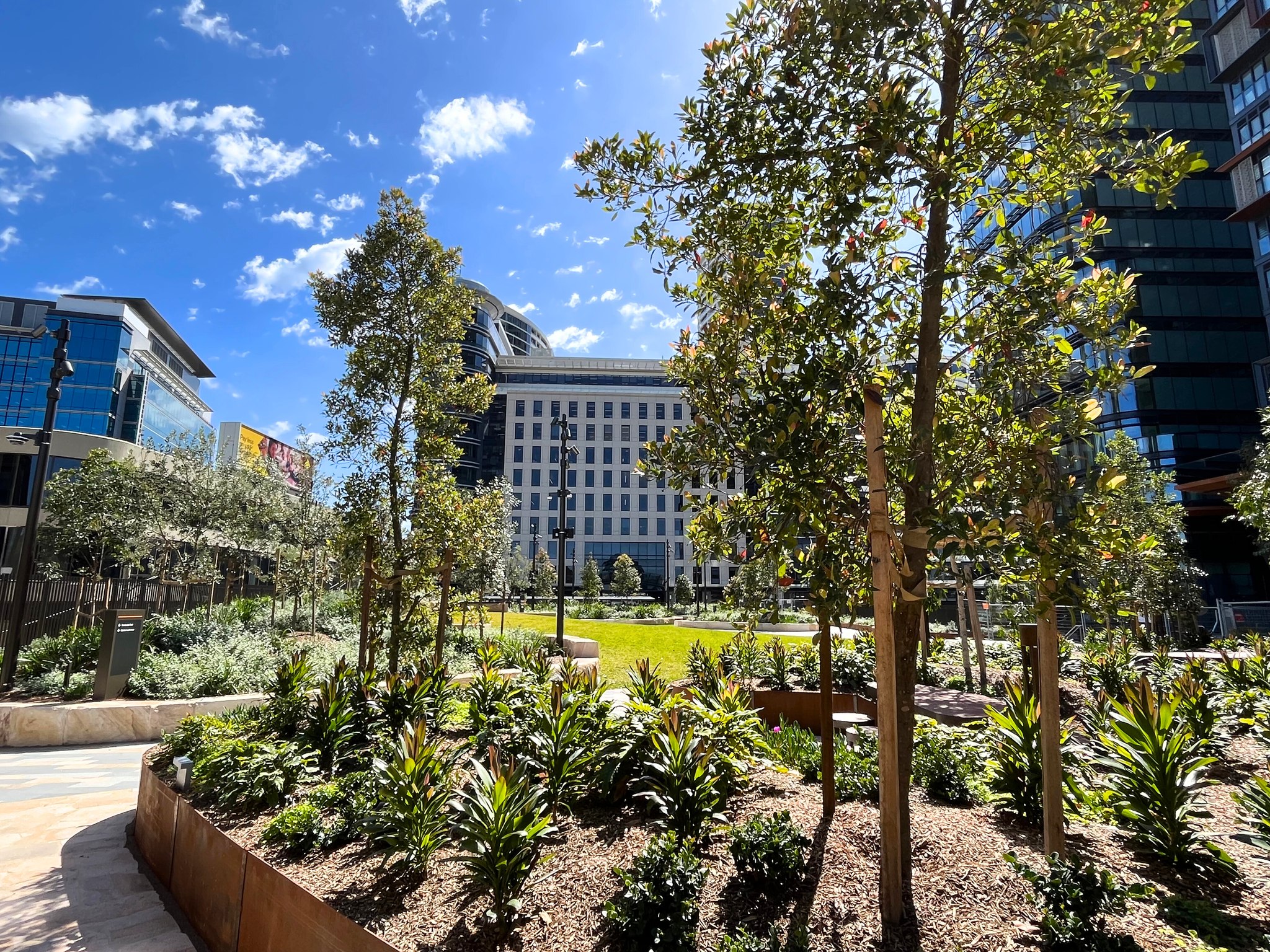 New Playground Wadanggari Park Officially Opens! - North Sydney Living
