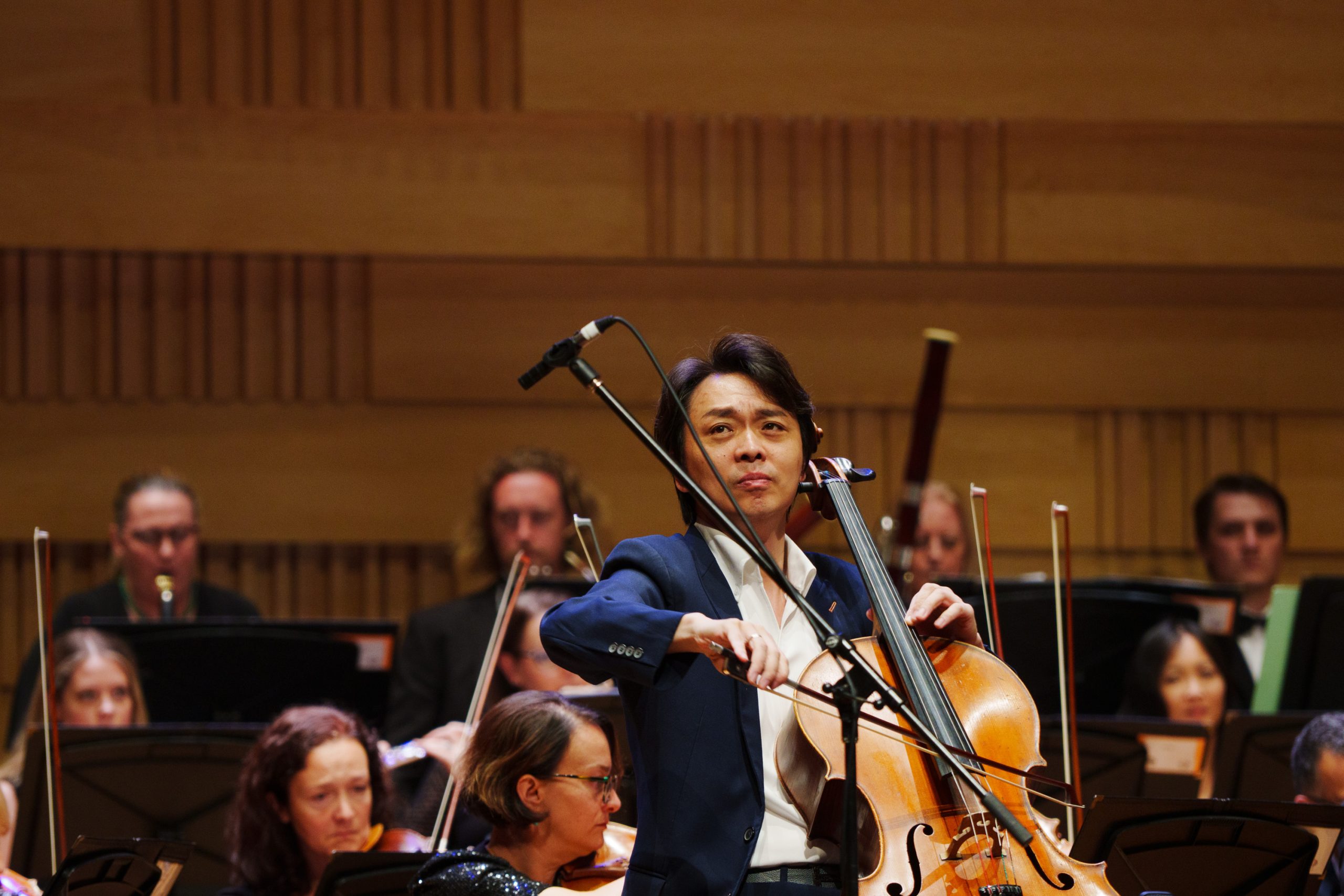 Legends and Lanterns Will Lift Your Spirits This Lunar New Year - North Sydney Living