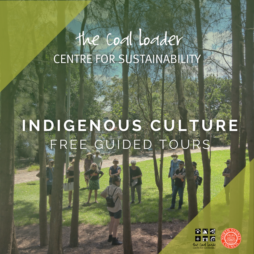 Easter Egg-stravaganza! - Willoughby Living