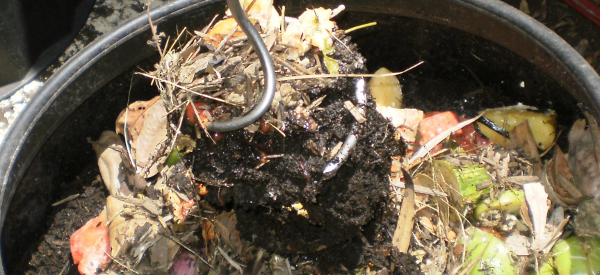 Composting And Worms Workshop At The Eco House And Garden Willoughby Living