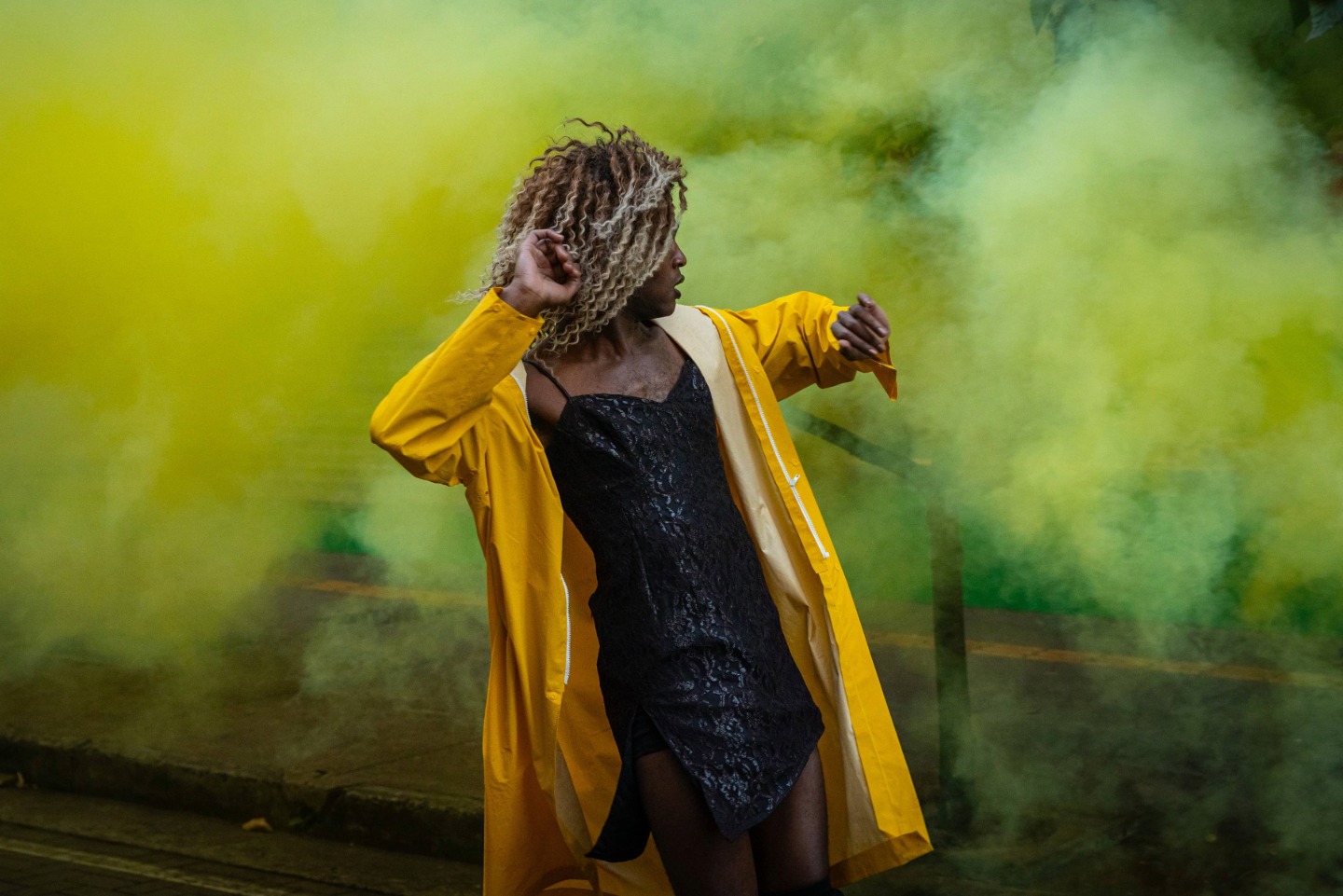 Sydney Festival 2026 - Willoughby Living